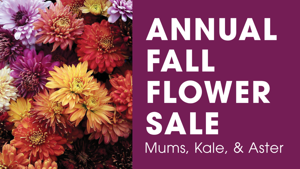 Upcoming Events – VIP